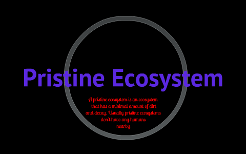 Pristine Ecosystem by Lindsay Lebert on Prezi