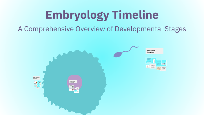 Embryology Timeline by Isabelle Fisher on Prezi
