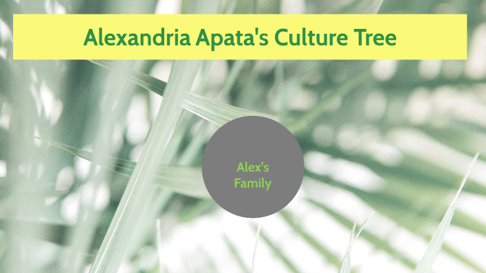Alexandria Apata's Culture Tree by Angela Apata on Prezi