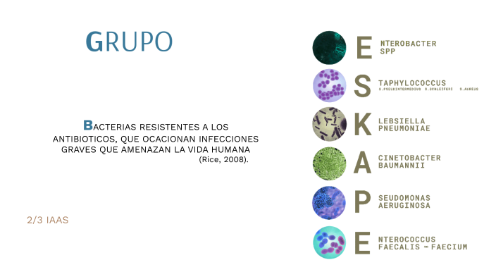GRUPO ESKAPE by perla gutierrez on Prezi