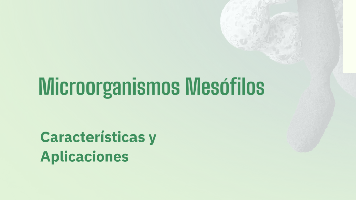 Microorganismos Mesófilos by MOISES AGUILAR MAMANI on Prezi