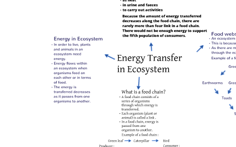 Energy Transfer in Ecosystem by Nur Shahira Kamisan on Prezi