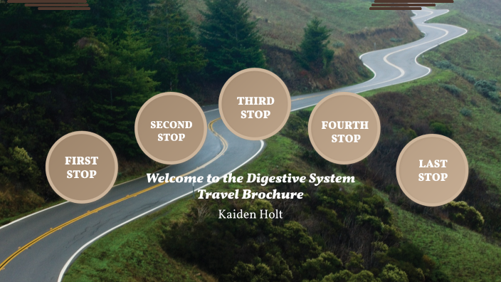 Digestion Project Travel Brochure by Kaiden Holt on Prezi