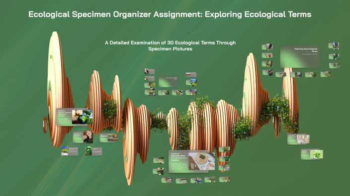 Ecological Specimen Organizer Assignment: Exploring Ecological Terms by ...