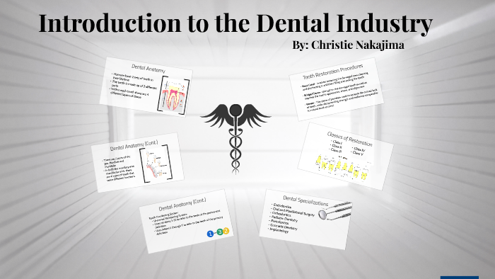 Introduction to the Dental Industry by Christie N on Prezi