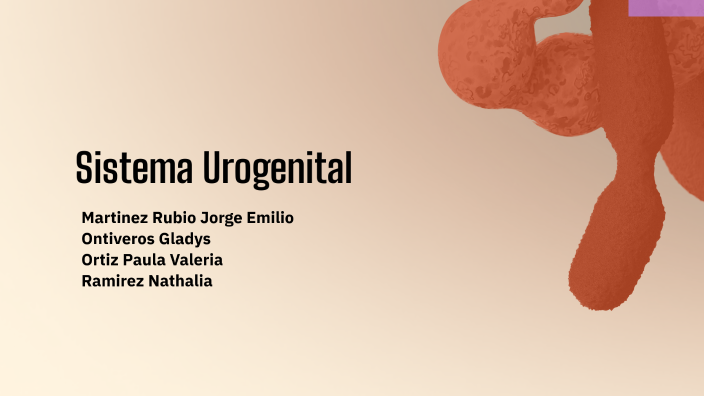 Desarrollo del Sistema Urogenital by Nathalia Ramirez on Prezi