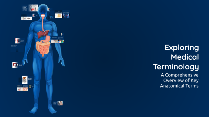 Understanding Medical Combining Forms by Navid Amin on Prezi