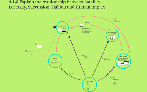 Explain relationship between Stability, Diversity, Successio by Yuri ...