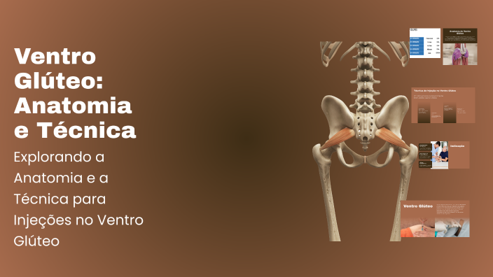 Ventro Glúteo: Anatomia e Técnica by Cindy Emanuele on Prezi