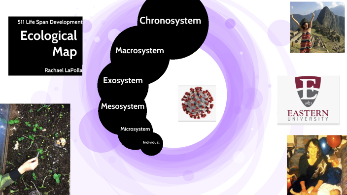 Ecological Map by Rachael Lapolla on Prezi