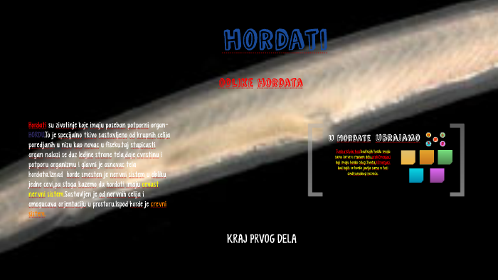 hordati by Marko Gudzulic on Prezi