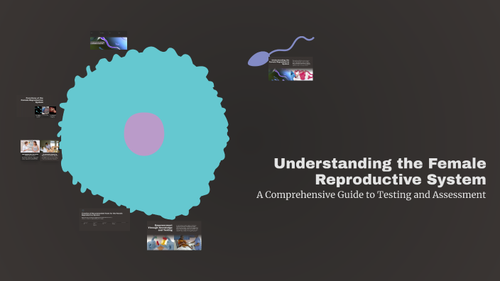 Understanding the Female Reproductive System by Sabrina Jane Panganiban ...