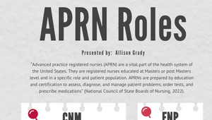 APRN Roles by Allison Grady on Prezi Design