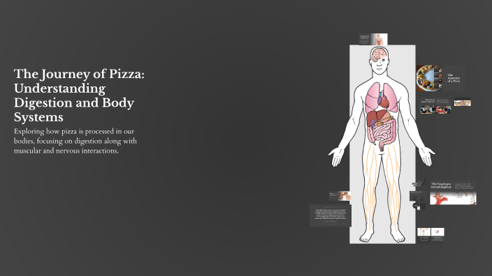 The Journey of Pizza: Understanding Digestion and Body Systems by Isaac ...