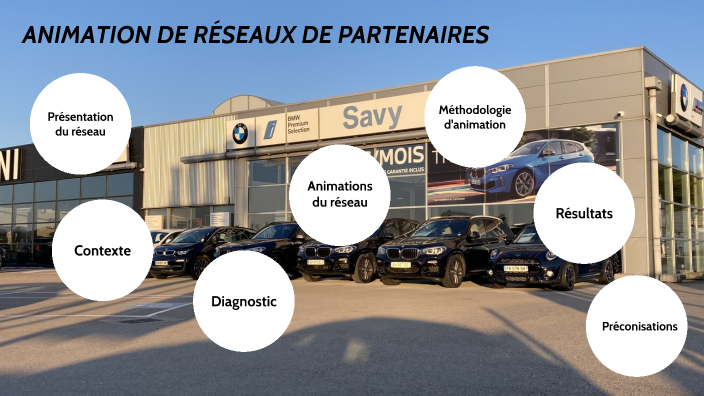 E6 FICHE PARTENAIRES by erica silva ribeiro on Prezi