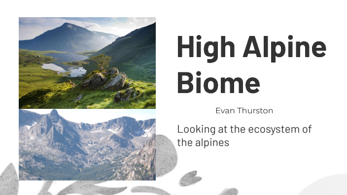 High Alpine Biome by Evan Thurston on Prezi