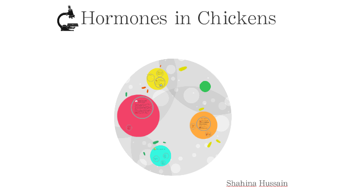 Hormones in Chickens by shyna grasshopper