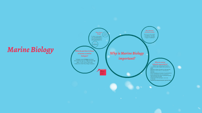 Why is Marine Biology important? by Hope Flournoy on Prezi