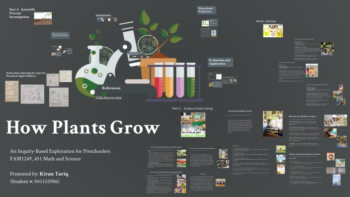 How Plants Grow - Inquiry Based Science Investigation for Preschool ...
