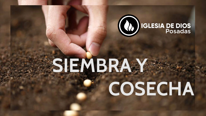 SIEMBRA Y COSECHA by Sergio Adrián Fasano on Prezi