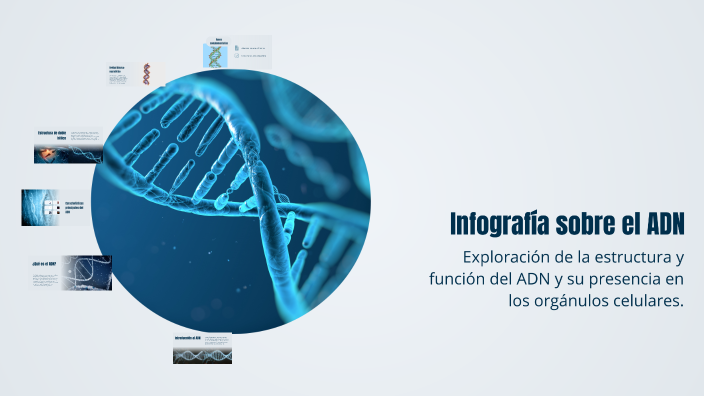 Infografía sobre el ADN by Manuel González on Prezi