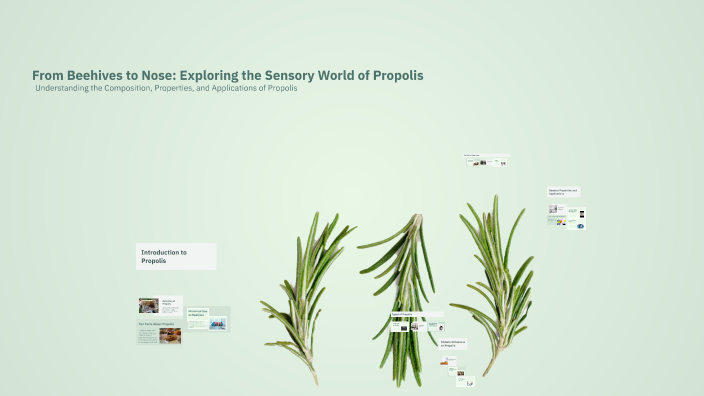 From Beehives to Nose: Exploring the Sensory World of Propolis by ... From Beehives to Nose: Exploring the Sensory World of Propolis by ...