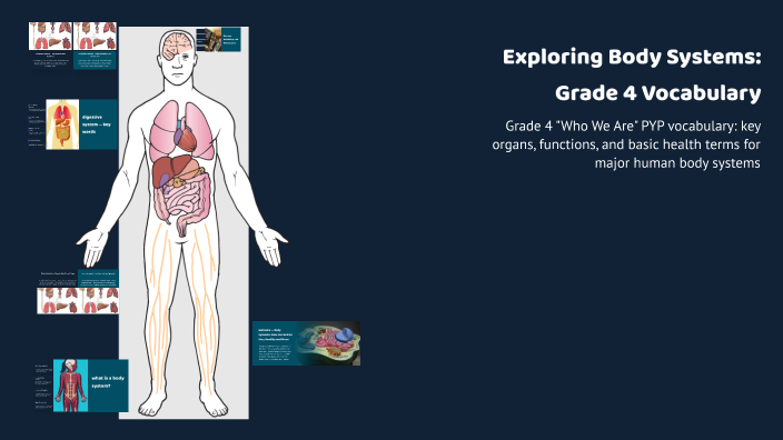 Exploring Body Systems: Grade 4 Vocabulary by Kyle Chamberlain on Prezi