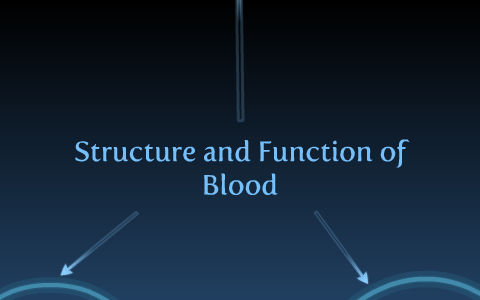 Structure and Function of Blood by Tomos Wyn-Jones on Prezi