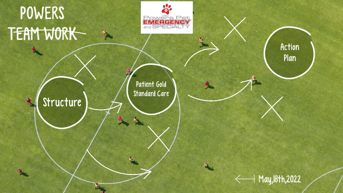 Powers Team Work, Organizational Chart by Miriam Garcia on Prezi