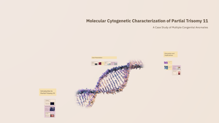 Molecular Cytogenetic Characterization of Partial Trisomy 11 by lana ...