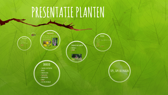 PRESENTATIE PLANTEN by on Prezi