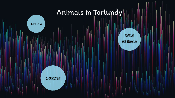 horse prezi by Imogen French on Prezi