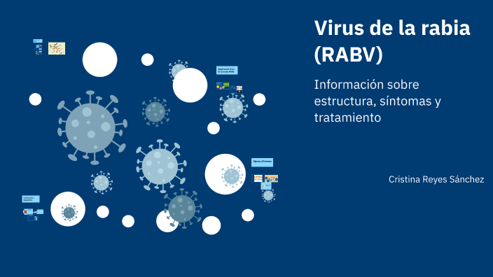 Virus de la rabia (RABV) by CRISTINA REYES SANCHEZ on Prezi