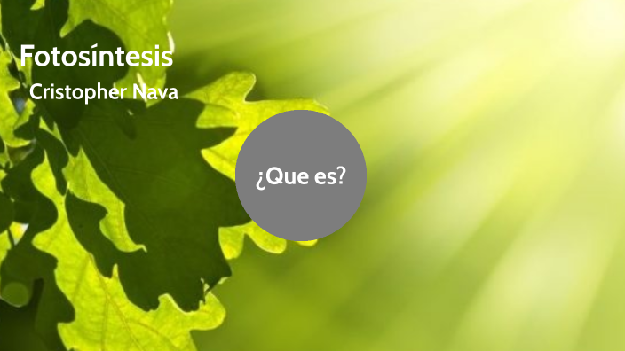 Fotosíntesis Cristopher Nava by Cris Nava on Prezi