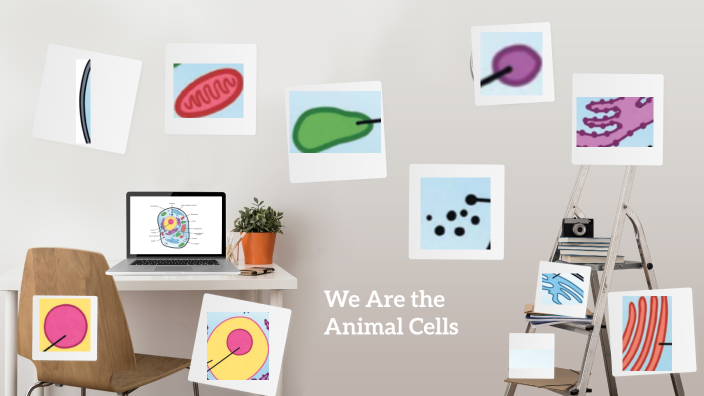 Animal Cell Portrait by Kevin Sim on Prezi