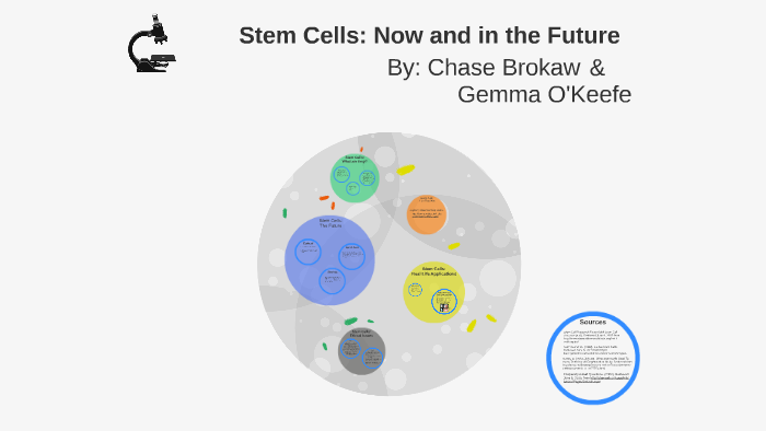 Stem Cells: Today to the Future by Chase Brokaw