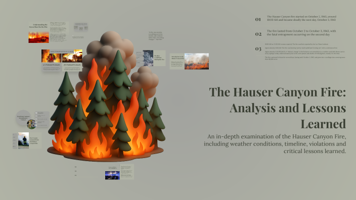 The Hauser Canyon Fire: Analysis and Lessons Learned by Ashley Rubio on ...