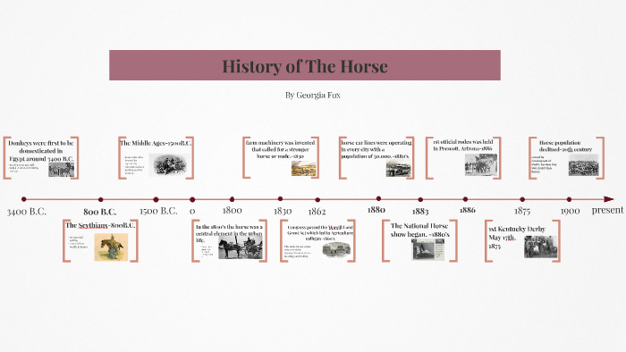 History of The Horse by Georgia Fox on Prezi