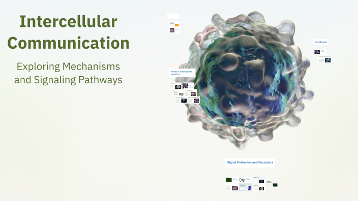 Intercellular Communication by Zahra Hany on Prezi