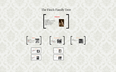 Finch Family Tree by Madeline Nieto on Prezi