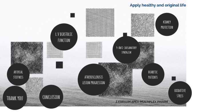 ERSTAPEX CO by marcileno zaky on Prezi