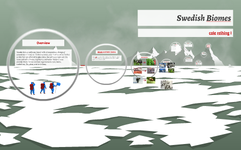 Swedish Biomes by Cole Reihing on Prezi