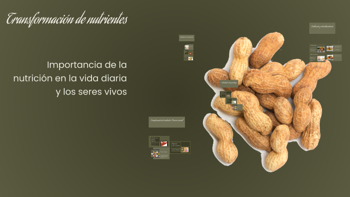 Transformación de nutrientes by FIDEL LAURA LIZARBE on Prezi