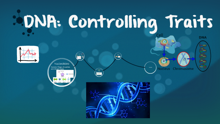 DNA Flowchart by Valentina Cure on Prezi