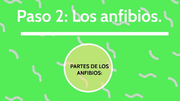 Paso 2: Los anfibios by Julia Del Val Vecino on Prezi