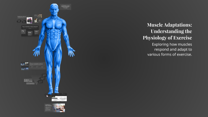 Muscle Adaptations: Understanding the Physiology of Exercise by Samiah ...