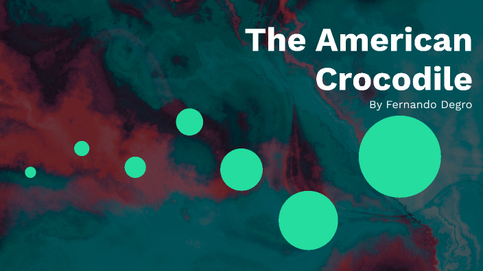 The American Crocodile Timeline by Fernando Degro on Prezi