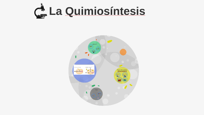 La Quimiosíntesis by Fernando Condori Rodriguez on Prezi