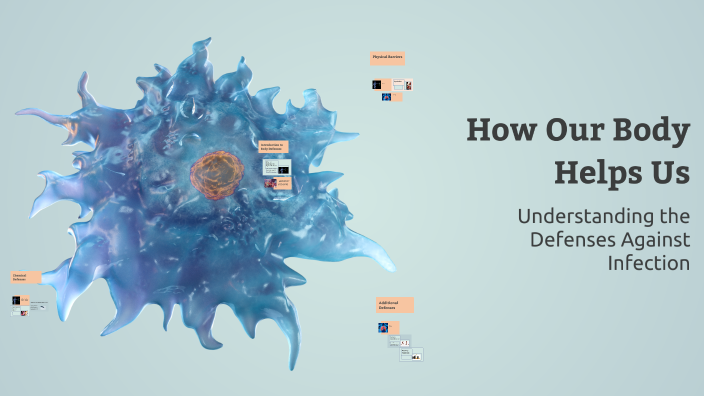 How Our Body Helps Us by Jill Halley on Prezi