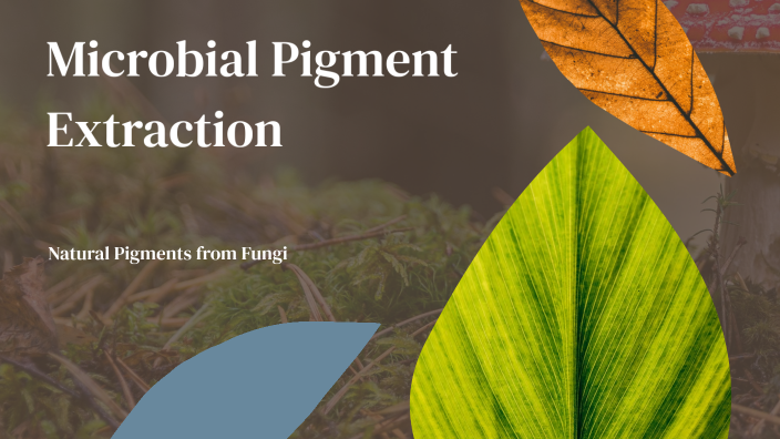 Microbial Pigment Extraction by Deepali singh on Prezi